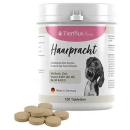 EXVital® Haarpracht Tabletten - hochdosiertes Biotin Komplex 180 g