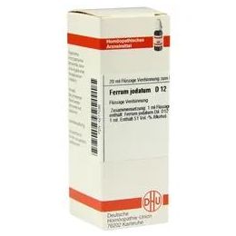 DHU-Arzneimittel Ferrum Jodatum D 12 Dilution 20 ml