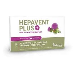 Hepavent PLUS Cholin Kapseln 60 St