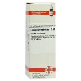 DHU-Arzneimittel Lycopus Virginicus D 12 Dilution 20 ml