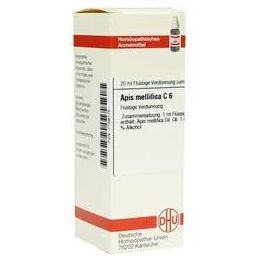 DHU-Arzneimittel APIS Mellifica C 6 Dilution 20 ml