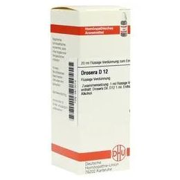 DHU-Arzneimittel Drosera D 12 Dilution 20 ml