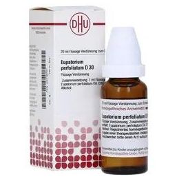 DHU-Arzneimittel Eupatorium Perfoliatum D 30 Dilution 20 ml