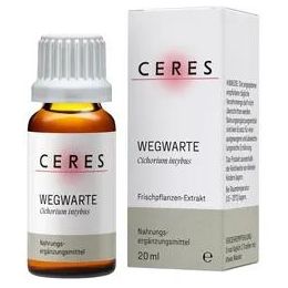 Ceres Wegwarte Cichorium Intybus Extrakt 20 ml