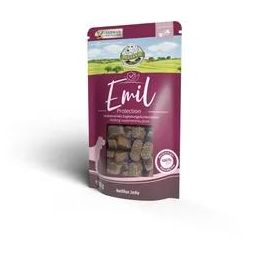 Bellfor Emil Protection Hundesnacks mit Lachs 100 g