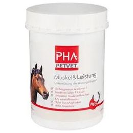 PHA Muskel & Leistung für Pferde 850 g