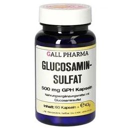 Glucosaminsulfat Kapseln 500 mg 60 St