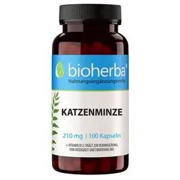 Katzenminze 210 Mg 100 St