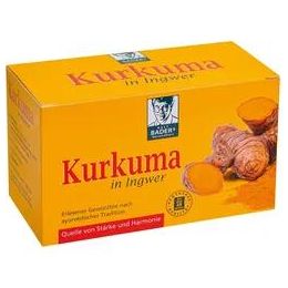 Kurkuma in Ingwer 20 Beutel 20 St