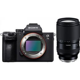 Sony Alpha ILCE-7 III + Tamron 28-300mm f4-7,1 Di-III VC VXD Sony E