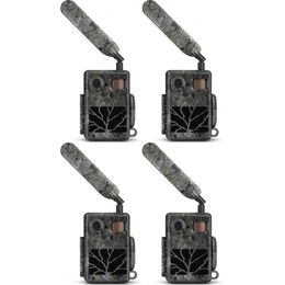Zeiss Secacam 7 4er Pack