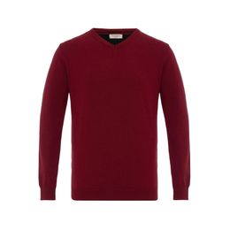 Anou Anou V-neck sweater Herren Gr&ouml;&szlig;e L burgunder