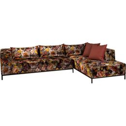 Stern Taavi Set Ecksofa/Recamiere Aluminium schwarz matt mit Bezug Dessin Flower