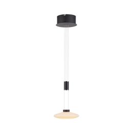 Pendelleuchte Paul Neuhaus "LAUTADA" Lampen Gr. Ø 23 cm, schwarz LED, dimmbar, Simply Dim, Memory, nach Trennung vom Netz