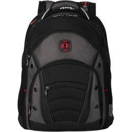 Laptoprucksack Wenger "Synergy, schwarz/grau" Gr. B/H/T: 36cm x 46cm x 26cm, schwarz (schwarz, grau) Herren Rucksäcke für Laptops bis 16 Zoll