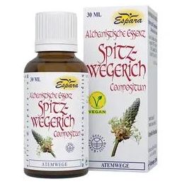 Espara Spitzwegerich Compositum Alchemistische 30 ml