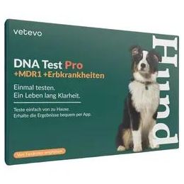 DNA Test Rassebestimmung Pro +MDR1 +Erbkrankheiten Hund 1 St