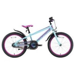 Jugendfahrrad Bikestar "Urban Jungle" Fahrräder Gr. 25,6cm, 20 Zoll (50,80cm), blau (berry/türkis) Kinder für Damen