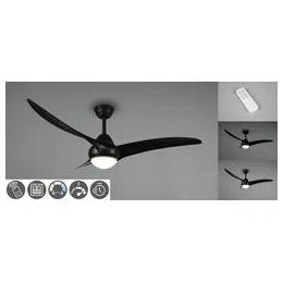 LED Deckenleuchte Trio LEUCHTEN "Alesund Deckenventilator" Lampen Gr. Ø 115,5 cm Höhe: 47,5 cm, schwarz (schwarz matt) Deckenlampe, Ventilator, Fernbedienung, Ventilator getrennt schaltbar