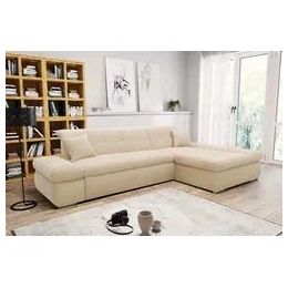 Ecksofa DOMO collection "Moric Luxus - B/T/H 300/172/80 cm, XXL-Format" Sofas Gr. B/H/T: 300cm x 80cm x 172cm, Cord, Recamiere rechts, beige (creme) L-Form, 140kg BelastungSitz, in Cord, Chenille, Kunstleder