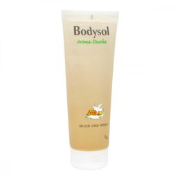 Bodysol Aroma Duschgel Milch und Honig