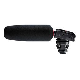 TASCAM DR-10SG