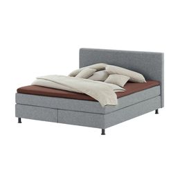 Wohnwert Boxspringbett Dormian Boro ¦ grau ¦ Maße (cm): B: 140 H: 11