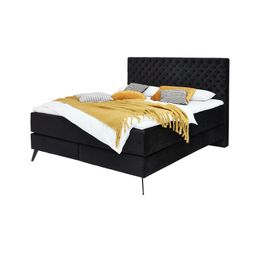 Höffner Boxspringbett Cumberland ¦ schwarz ¦ Maße (cm): B: 162 H: 130 T: 211