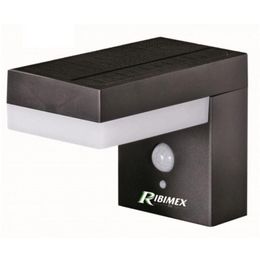 Ribimex - 6w solar-led-wandleuchte mit bewegungsmelder PRLUMSOL1/M