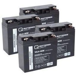 Ersatzakku für RBC11, RBC55 AGM Batterie 12V 20Ah (4 Akkus)