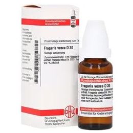 DHU-Arzneimittel Fragaria Vesca D 30 Dilution 20 ml