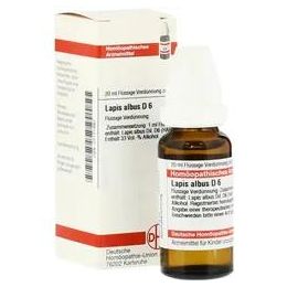 DHU-Arzneimittel Lapis Albus D 6 Dilution 20 ml