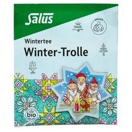 Winter-trolle Gewürztee Bio Salus Filter 15 St