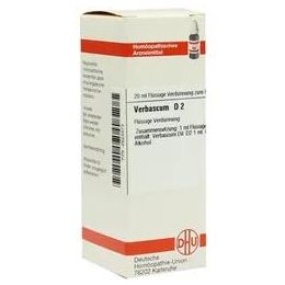 DHU-Arzneimittel Verbascum D 2 Dilution 20 ml