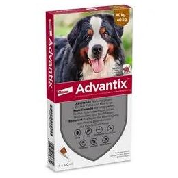 Advantix Spot-on Hunde 40-60 kg 4X6,0 ml