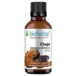 Chaga Inonotus Obliquus 50 ml