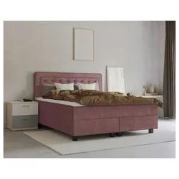 Boxspringbett LEONIQUE "Jeanne" Komplettbetten Gr. Samtvelours, Liegefläche B/L: 180cm x 200cm, H2, Taschen-Federkernmatratze, rosa (rosé) Boxspringbett inkl. Topper mit Taschen-Federkernmatratze