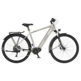 E-Bike Fischer FAHRRAD "TERRA 4.0i 55" E-Bikes Gr. 55cm, 29 Zoll (73,66cm), grau Pedelec, Elektrofahrrad für Damen u. Herren