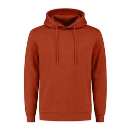 Shiwi Sweatshirt female Brown size S