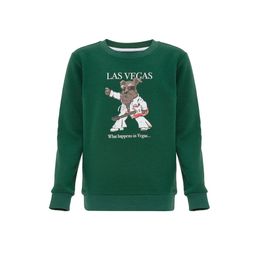 Williot Sweatshirt boy Green size 16