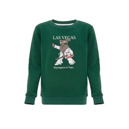Williot Sweatshirt boy Green size 8