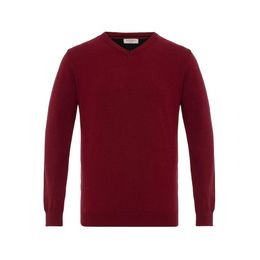 Anou Anou V-neck sweater Herren Gr&ouml;&szlig;e S burgunder