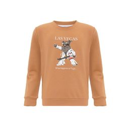 Williot Sweatshirt Jungen Gr&ouml;&szlig;e 164 braun