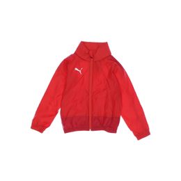 Puma Herren Jacke, rot, Gr. 116