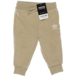 adidas originals Damen Stoffhose, beige, Gr. 80