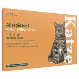 Allergietest - Gräser, Milben & Co. Katze 1 St