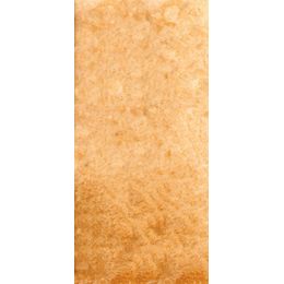 Duschr&uuml;ckwand Sanotechnik, B:100cm H:205cm, beige, Aluminium, Spritzschutzw&auml;nde, "Sanowall", H&ouml;he: 205 cm
