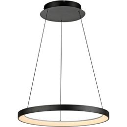 Pendelleuchte Paul Neuhaus "HOOP" Lampen Gr. 1 flammig, Ø 57,00cm H: 4,00cm,, schwarz LED, dimmbar, Simply Dim, Memory, nach Trennung vom Netz, Comfort Lift