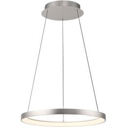 Pendelleuchte Paul Neuhaus "HOOP" Lampen Gr. 1 flammig, Ø 57,00cm H: 40,00cm,, grau (aluminium) LED, dimmbar, Simply Dim, Memory, nach Trennung vom Netz, Comfort Lift