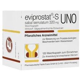 Eviprostat-s Sabal Serrulatum 320 uno Ka 120 St